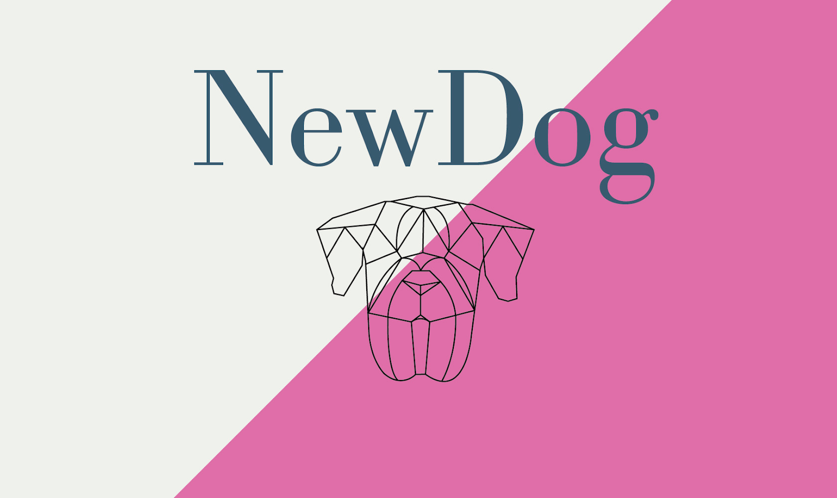 Hundprodukter till träning och tävling - New Dog